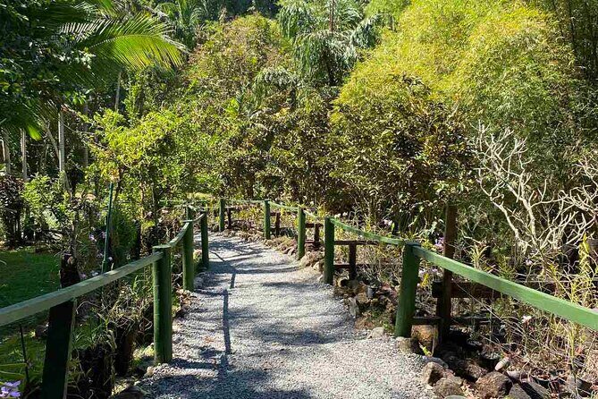 Half Day Nadi Tour Temple, Market, Gardens and Mud Pools - Who Would Love This Tour?