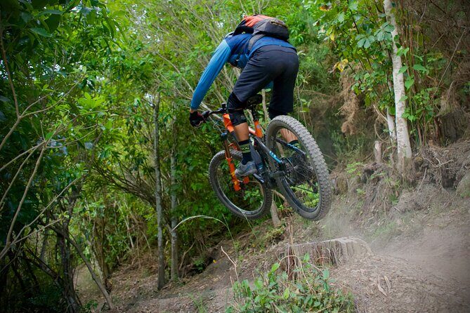 Half Day Nelson Electric Mountain Bike Rental Adventure - The Experience in Depth