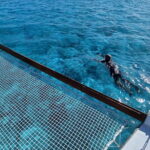 Half-Day Sailing Trip on the Lagoon of Tahiti Comments - Practical Details and What You Should Know