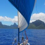 Half day whale watching - Without launch - Exploring the Sailing Experience