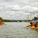 Hallertau Clevedon Kayak Tour - Practical Details and Tips