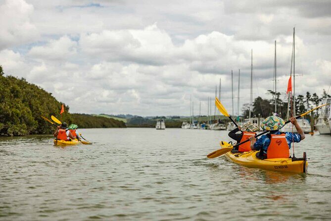 Hallertau Clevedon Kayak Tour - Practical Details and Tips