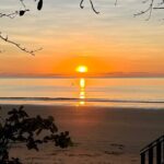 Hartleys Crocodile Adventures Plus Return Port Douglas Transfers - Who’s This Tour Best Suited For?