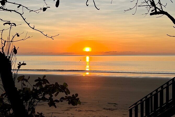 Hartleys Crocodile Adventures Plus Return Port Douglas Transfers - Who’s This Tour Best Suited For?