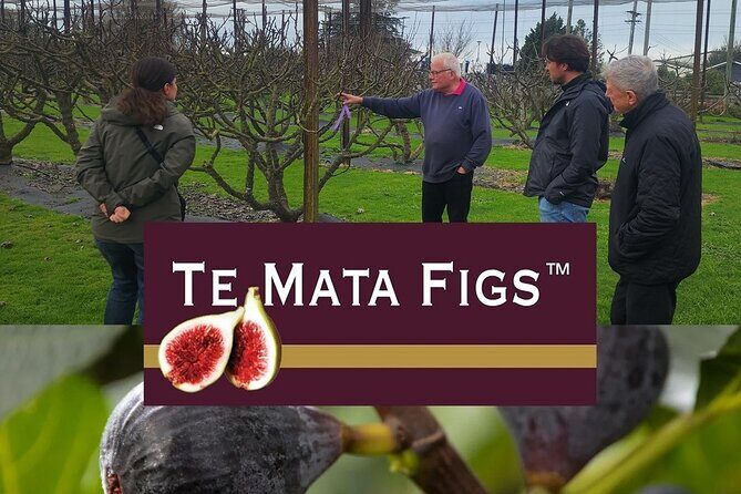 Hawke Bay Local Producers Tour Tastings and Lunch Included - Comfort and Convenience