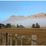 Hawkes Bay - Scenic, luncheon, wine Tour - Scenic Lookouts and Natural Wonders