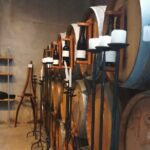 Hawkes Bay Wine Tour: Explore NZ's Great Wine Capital - Why This Tour Stands Out