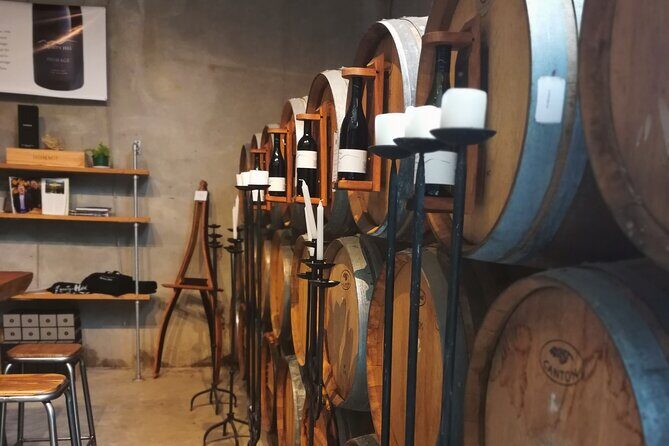 Hawkes Bay Wine Tour: Explore NZ's Great Wine Capital - Why This Tour Stands Out