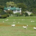 High Country Discovery Tour from Queenstown - What to Expect from the Experience