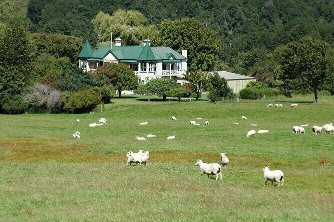 High Country Discovery Tour from Queenstown - What to Expect from the Experience