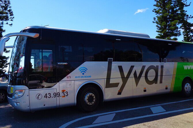 Highlight City Tour in New Caledonia - Practical Considerations and What Travelers Say