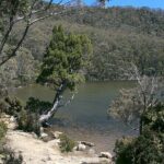 Hobart Adventurer Day Tour | Amazing Views & Native Wildlife - Price and Value