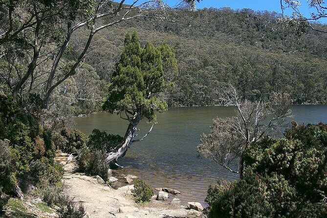 Hobart Adventurer Day Tour | Amazing Views & Native Wildlife - Price and Value