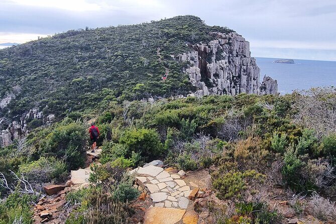 Hobart: Cape Hauy Adventure Hike - rugged cliffs & wild beauty - Why This Tour Works Well
