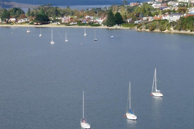 Hobart City Flight Including Mt Wellington and Derwent River - What It Feels Like to Be Up There