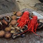 Hobart: Full-Day Tasmania Gourmet Seafood Cruise - The Itinerary: What to Expect from Start to Finish