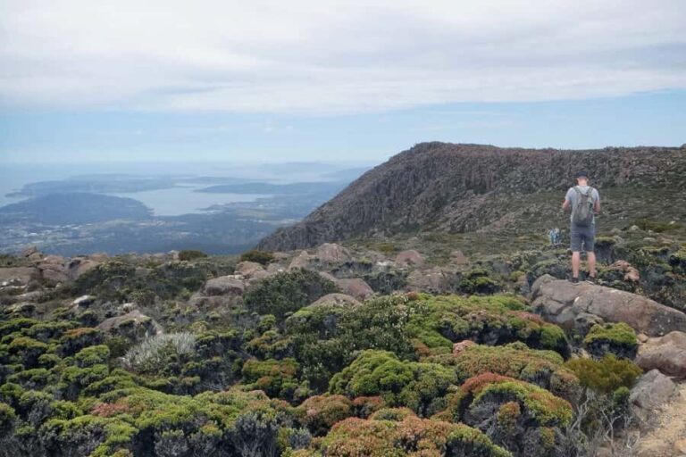 Hobart: kunanyi/Mt Wellington Explorer Bus Pass - Who Will Love This Tour?