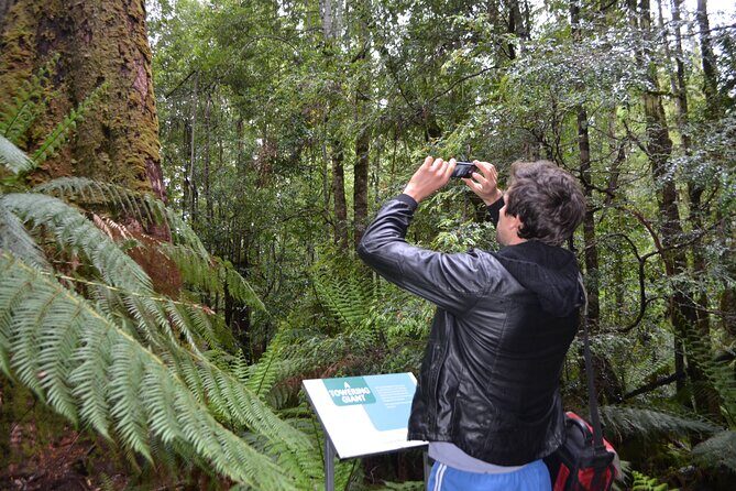 Hobart Shore Excursion Private Tour - Authentic Insights from Reviews