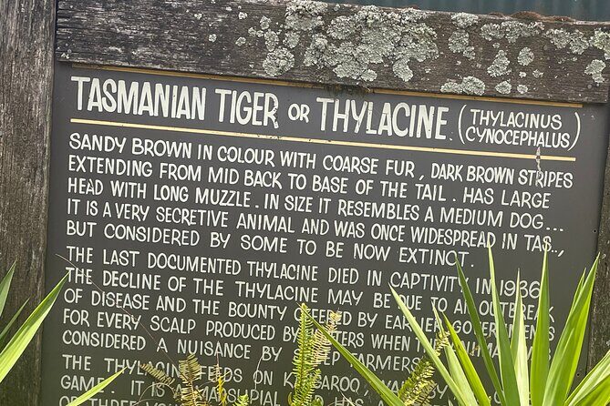 Hobart Signature Shore Excursion Small Group - Why This Tour Offers Good Value