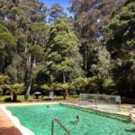 Hobart: Tahune Airwalk, Hastings Cave, Thermal Springs Tour - Exploring the Tour in Detail