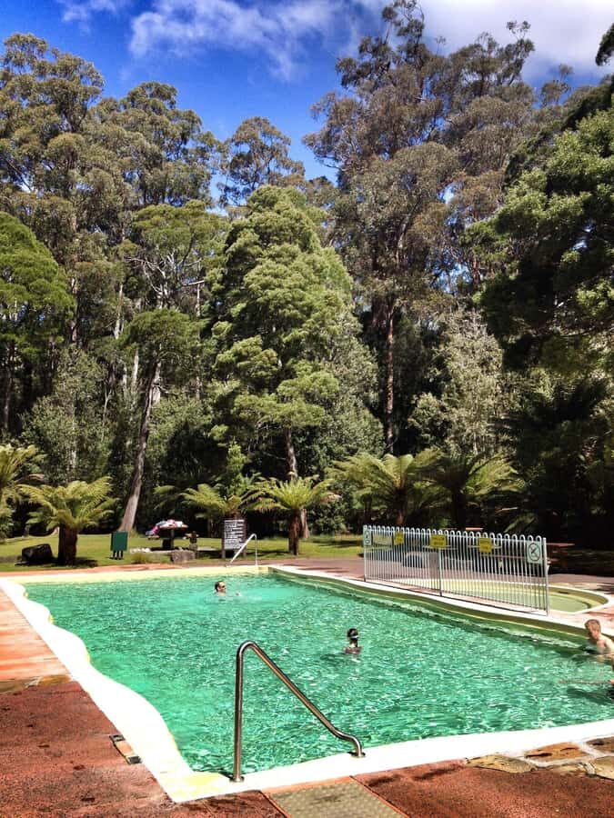 Hobart: Tahune Airwalk, Hastings Cave, Thermal Springs Tour - Exploring the Tour in Detail