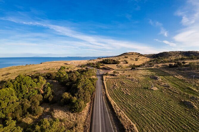 Hobart to Launceston via Wineglass Bay - Active one-way Day Tour - Transportation & Group Size
