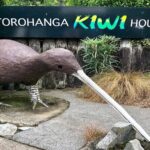 Hobbiton, Waitomo Caves and Kiwi House Day Tour From Auckland - A Complete Look at the Tour Experience