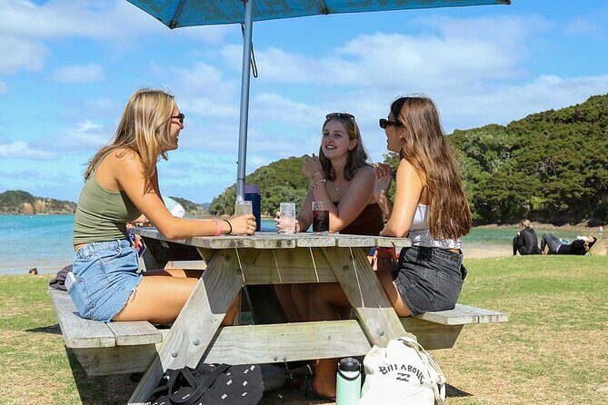 Hole in the Rock Dolphin Cruise Tour Round Trip from Auckland - Analyzing the Value: Is It Worth the Cost?