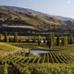 Hop on Hop off Wine Tours Bannockburn - departing Queenstown - FAQ