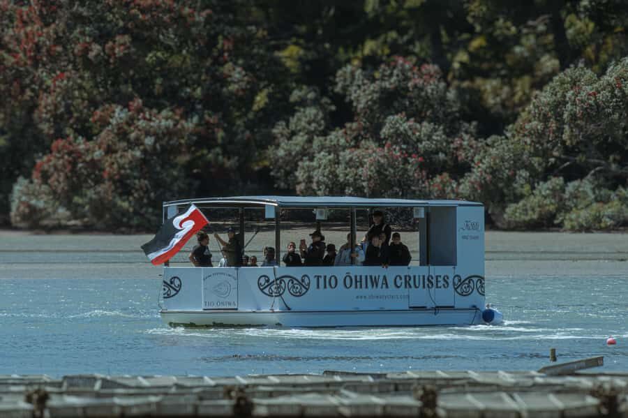 hope: Guided Cruise with Oyster Farm Visit and Lunch - Discovering Hiwa Harbour and Its Coastal Charm