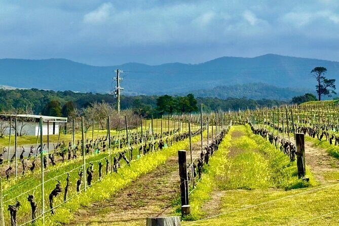 Hunter Valley Escape A Day of Wine Art and Aussie Countryside - What Makes This Tour a Great Value