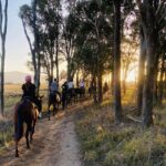 Hunter Valley Sunset Horse Ride - 90 Minutes - The Logistics: Timing, Group Size, and Cost
