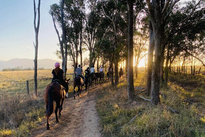 Hunter Valley Sunset Horse Ride - 90 Minutes - The Logistics: Timing, Group Size, and Cost
