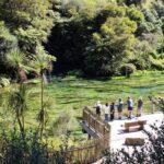 Hunua Falls and Blue Springs (Te Waihou): Private Tour - The Itinerary in Detail