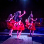 Island Dinner Show Cultural show BBQ Fiesta Plate Course - Who Is This Tour Best For?