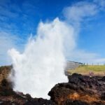 Jervis Bay Full Day Tour Dolphin Cruise and Kiama Blowhole - Authentic Experiences and Review Insights