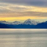 Kaikoura Albatross Encounter Tour from Christchurch - Authentic Traveler Insights