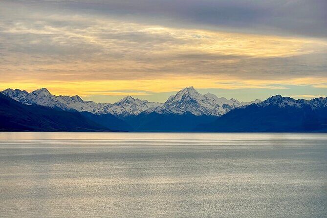 Kaikoura Albatross Encounter Tour from Christchurch - Authentic Traveler Insights