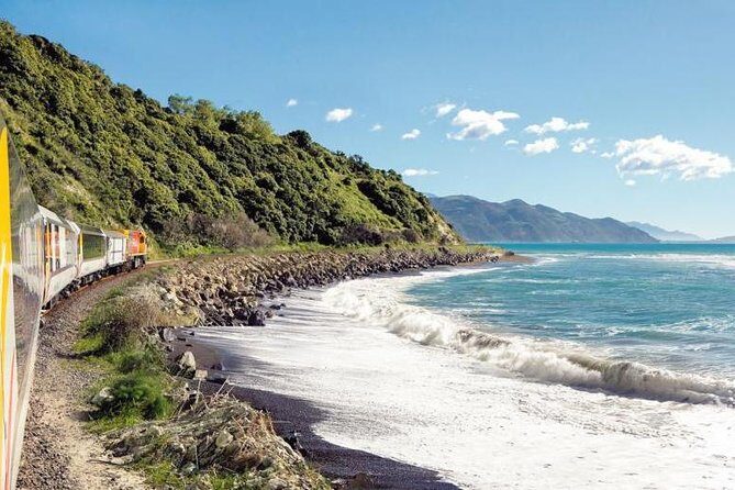 Kaikoura Whale Watch Day Tour from Christchurch including Coastal Pacific Train - Who Should Consider This Tour?