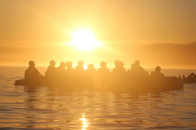 Kaikura: Kayak Sunset Tour with Seal Sightings - Why This Tour Is Worth It