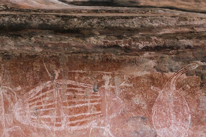 Kakadu National Park Full Day Tour + 2 Hour Cultural River Cruise - Who Should Consider This Tour?