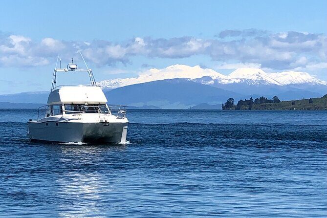 Kakariki Day Time Cruise to Maori Rock Carvings - Why This Tour Works Well