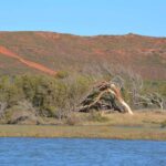 Kalbarri: Murchison River Morning Cruise - Why This Tour Offers Great Value
