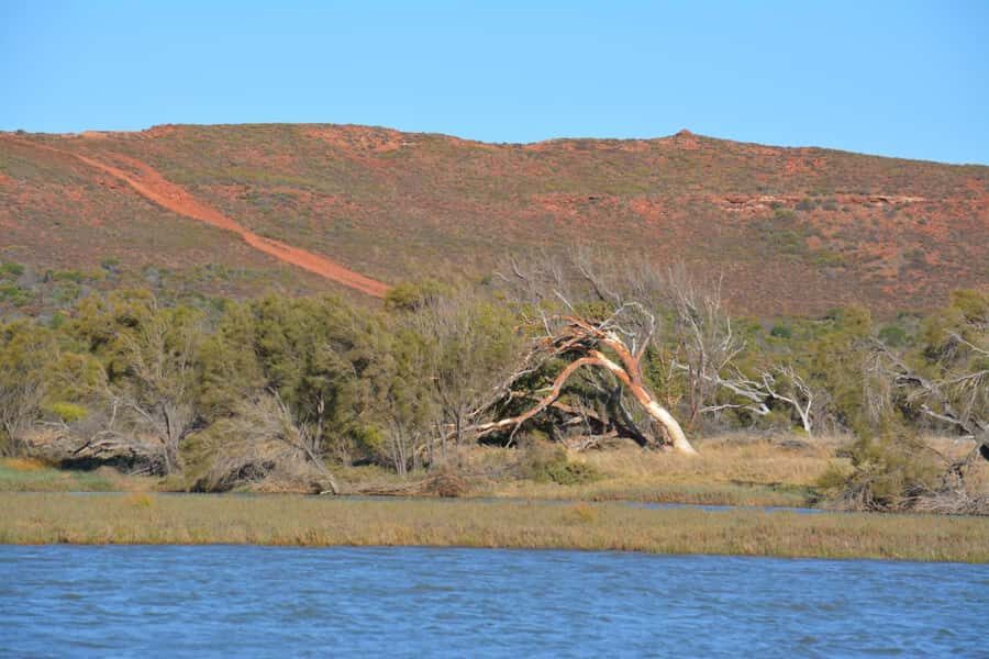 Kalbarri: Murchison River Morning Cruise - Why This Tour Offers Great Value