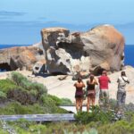 Kangaroo Island: Full Day Guided Flinders Chase Focus Tour - Scenic Lunch with Local Flavors
