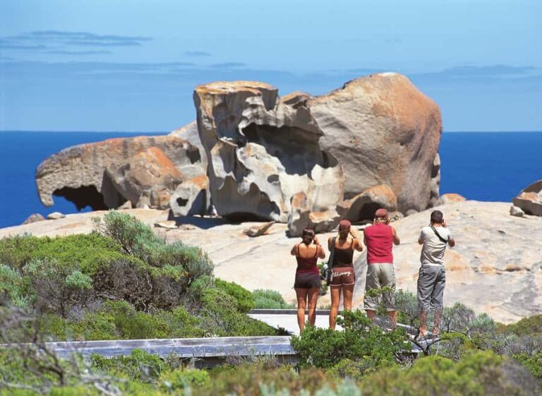Kangaroo Island: Full Day Guided Flinders Chase Focus Tour - Scenic Lunch with Local Flavors