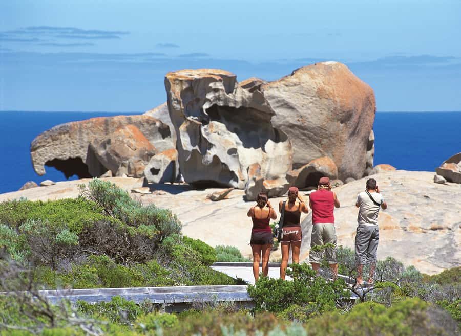 Kangaroo Island: Full Day Guided Flinders Chase Focus Tour - Scenic Lunch with Local Flavors