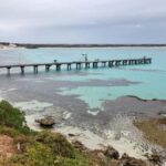 Kangaroo Island: Scenic, Nature & Wildlife Tour - What You Can Expect on the Tour