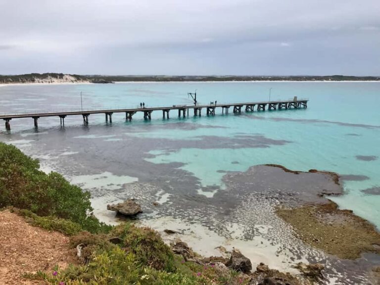 Kangaroo Island: Scenic, Nature & Wildlife Tour - What You Can Expect on the Tour