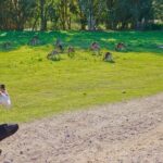 Kangaroos & Koalas in the Wild - Private Nature Experience - Who Should Consider This Tour?